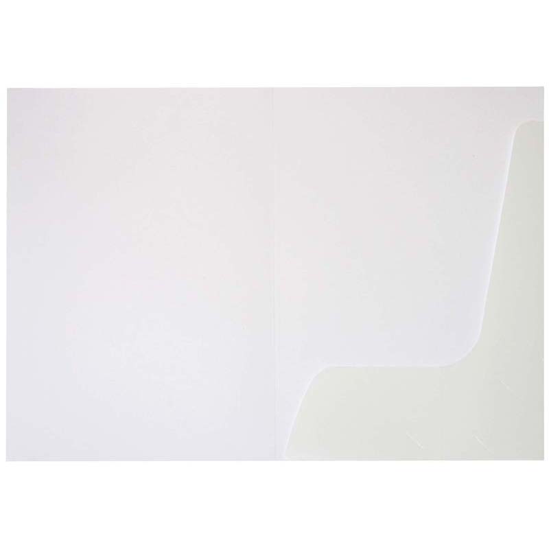 FM Folder Presentation Gloss White 50 Single Pocket Pack 250gsm - Kiwi ...